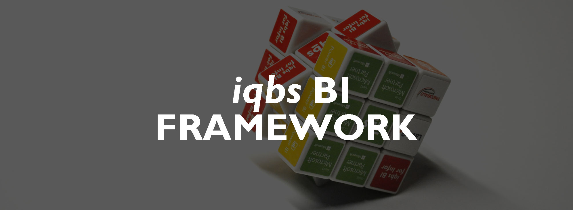 Technology | iqbs | Business Intelligence Solutions