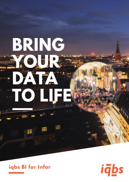 iqbs BI for Infor Baan / LN | iqbs | Business Intelligence Solutions